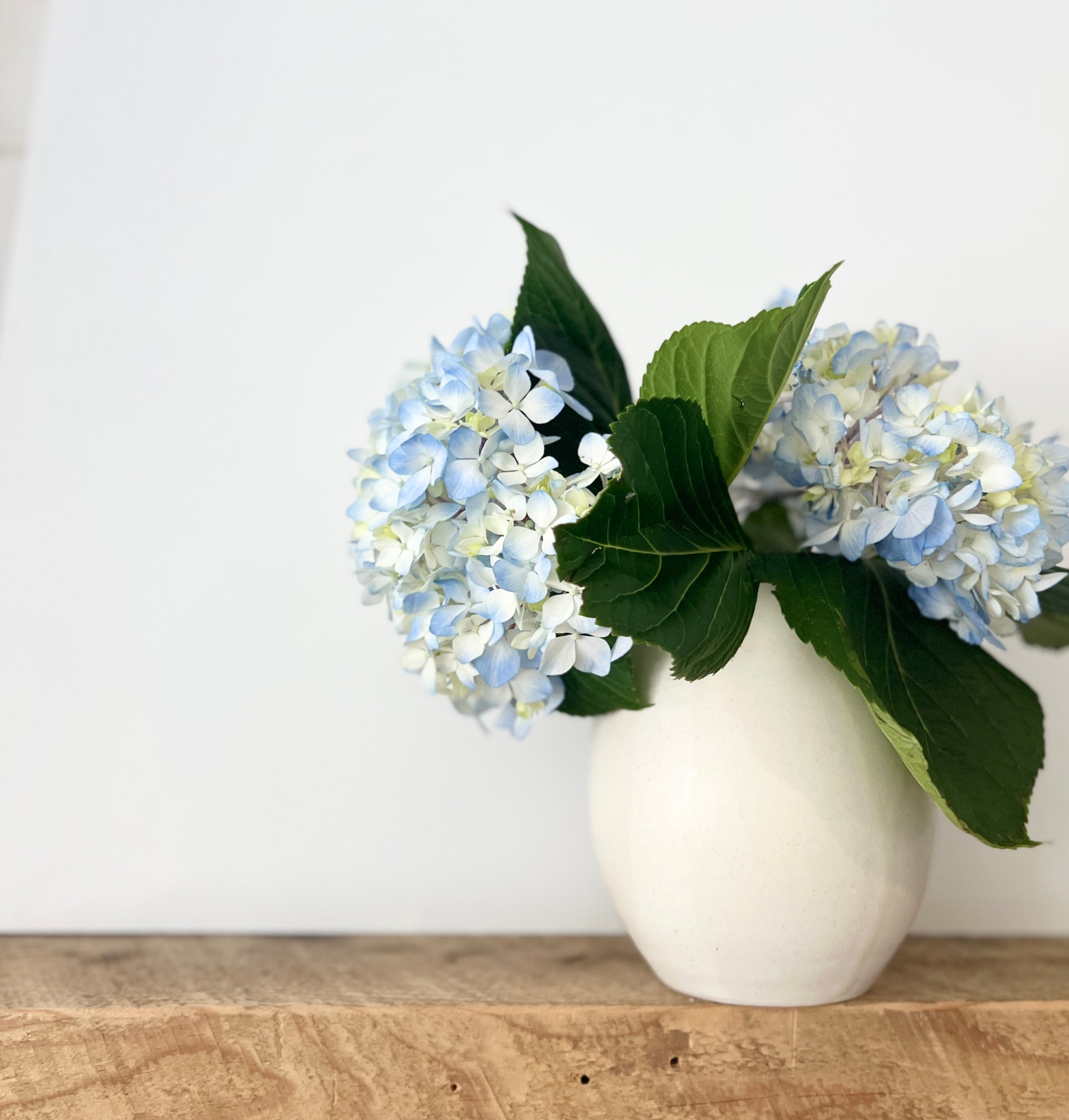 Handmade Pottery & Melbourne Pottery Classes | Seagrass Pottery